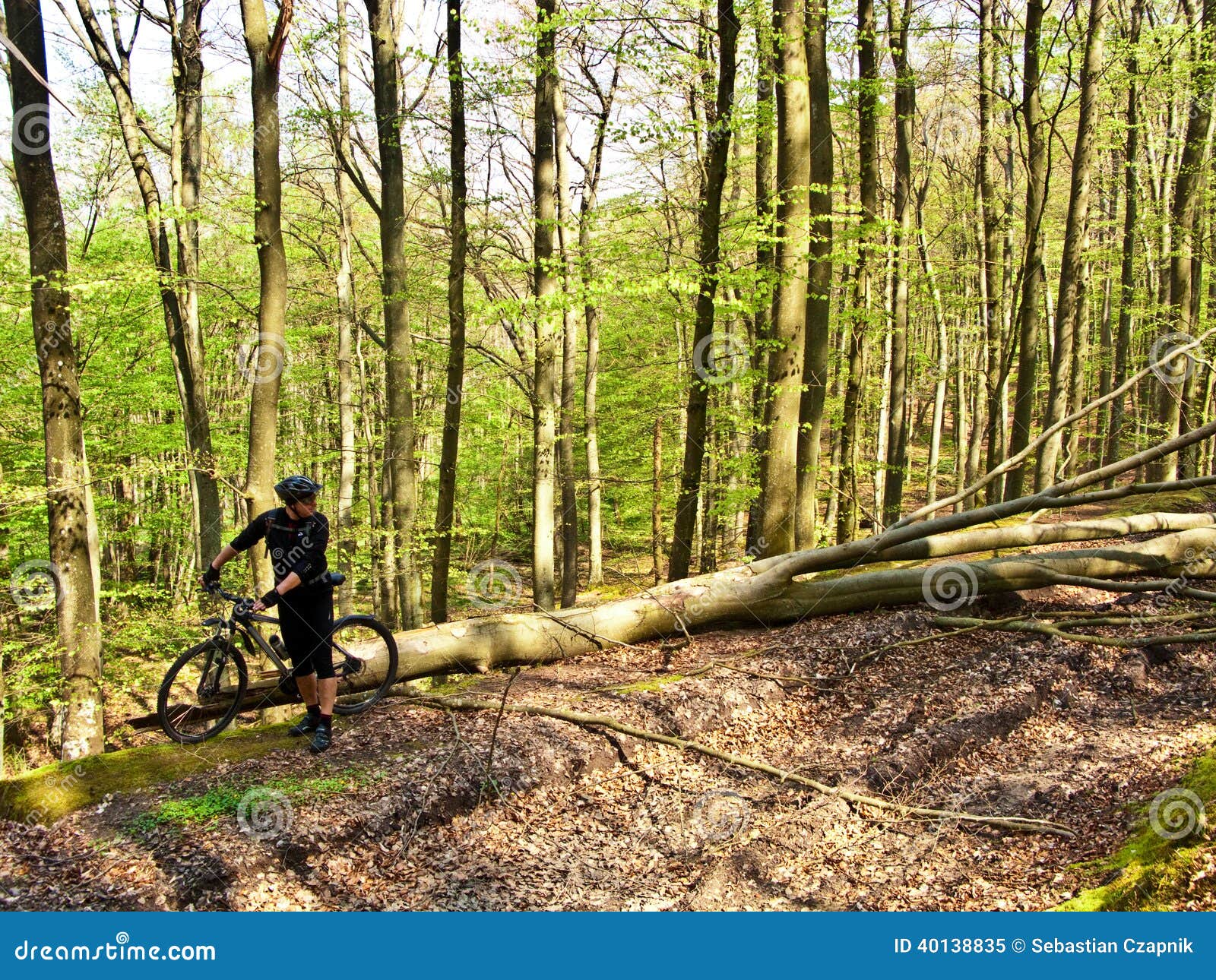 Spring cycling stock image. Image of dirtroad, cyclist - 40138835