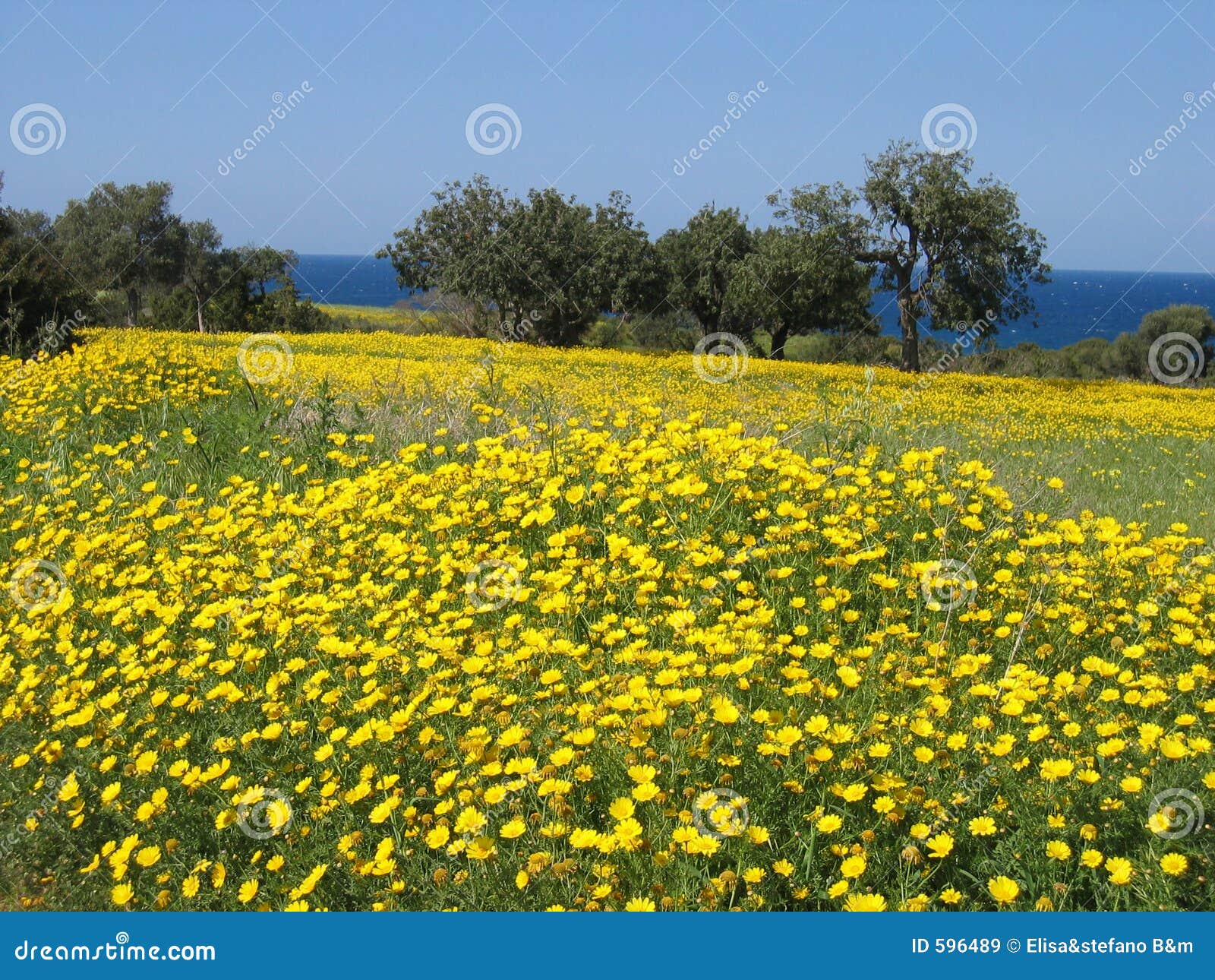 Spring in Cyprus stock image. Image of front, colourful - 596489