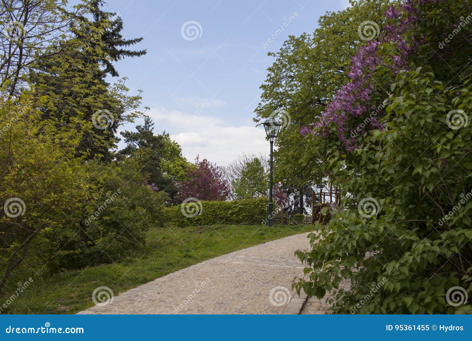 Spring in the Czech Republic Stock Image - Image of spring, garden ...