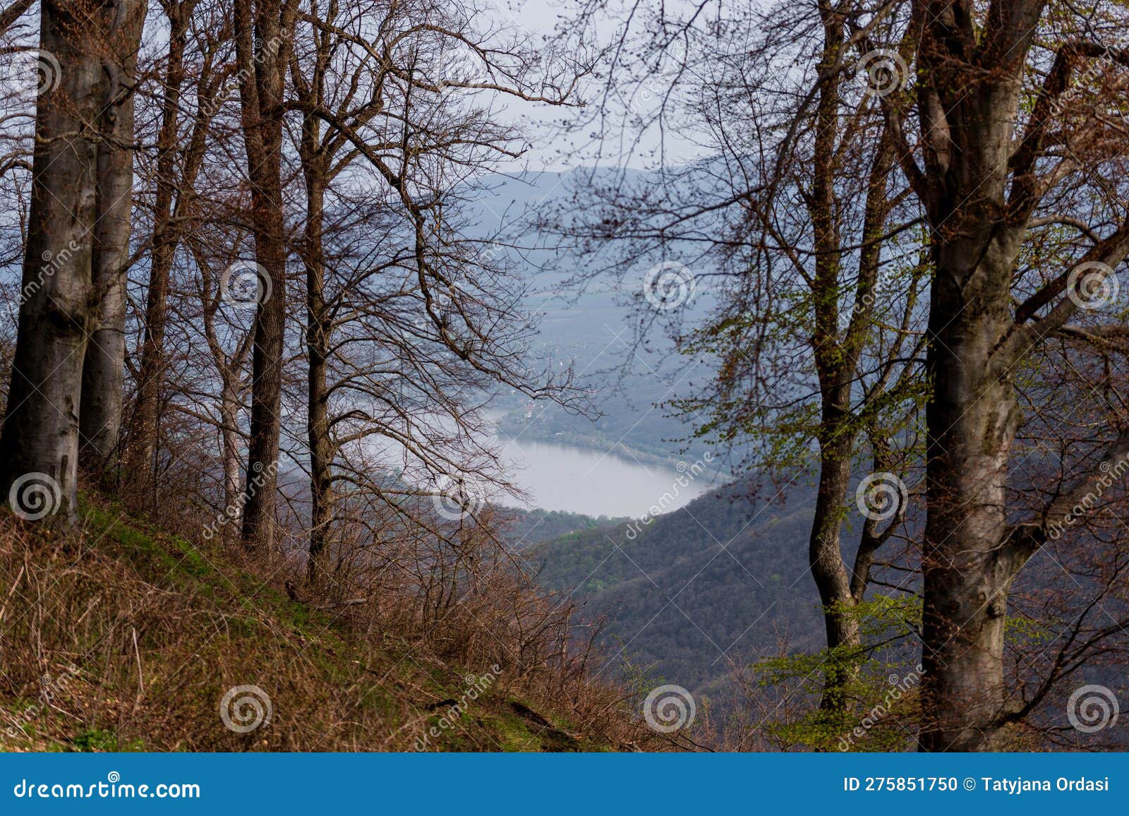 Spring Danube River Bend Panorama from Pilis Stock Photo - Image of ...