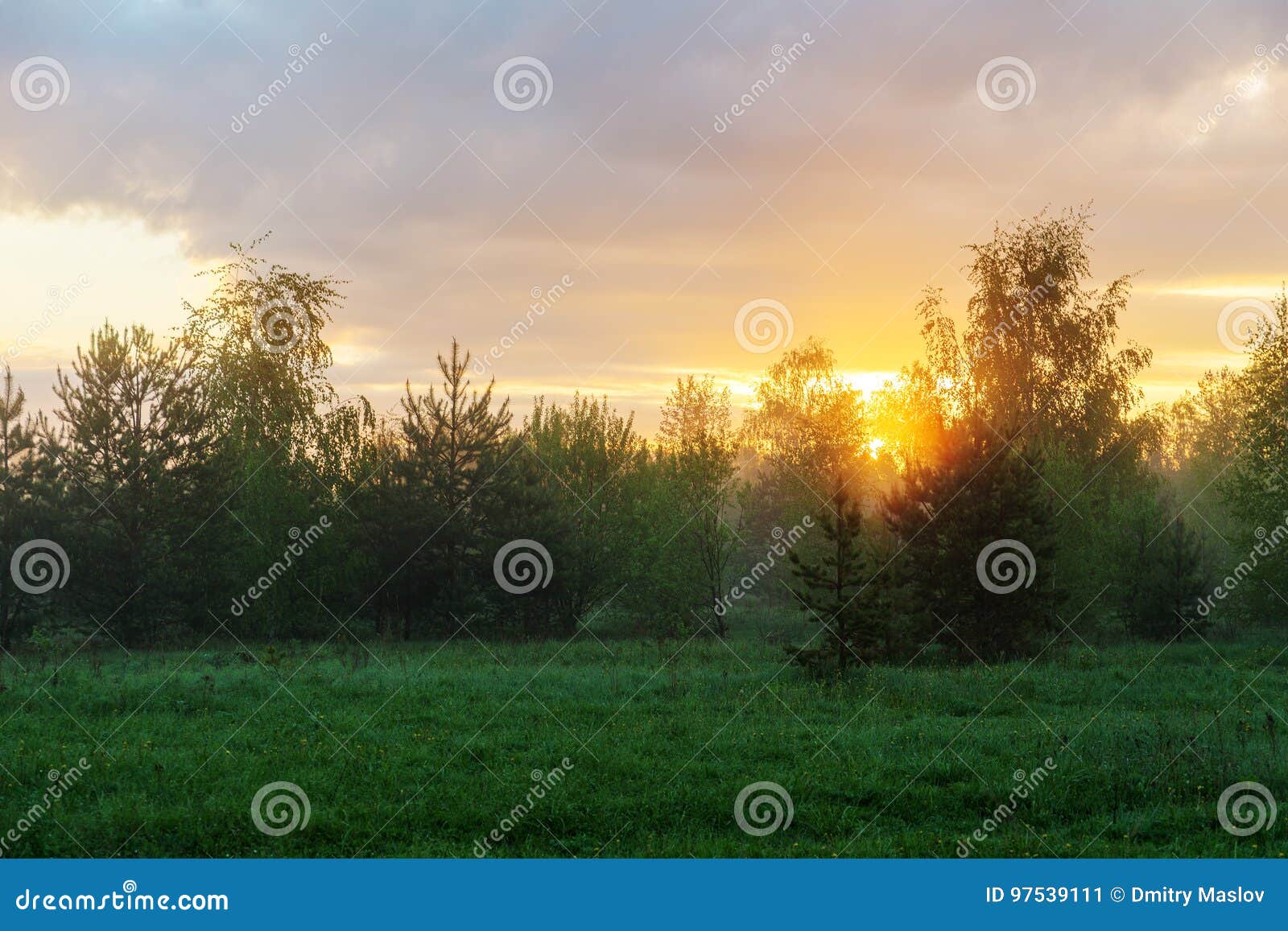 Spring Dawn Over the Meadow Stock Image - Image of morning, beautiful ...