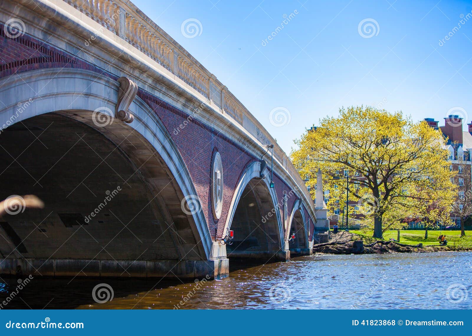 A Spring Day in Cambridge stock photo. Image of harvard - 41823868