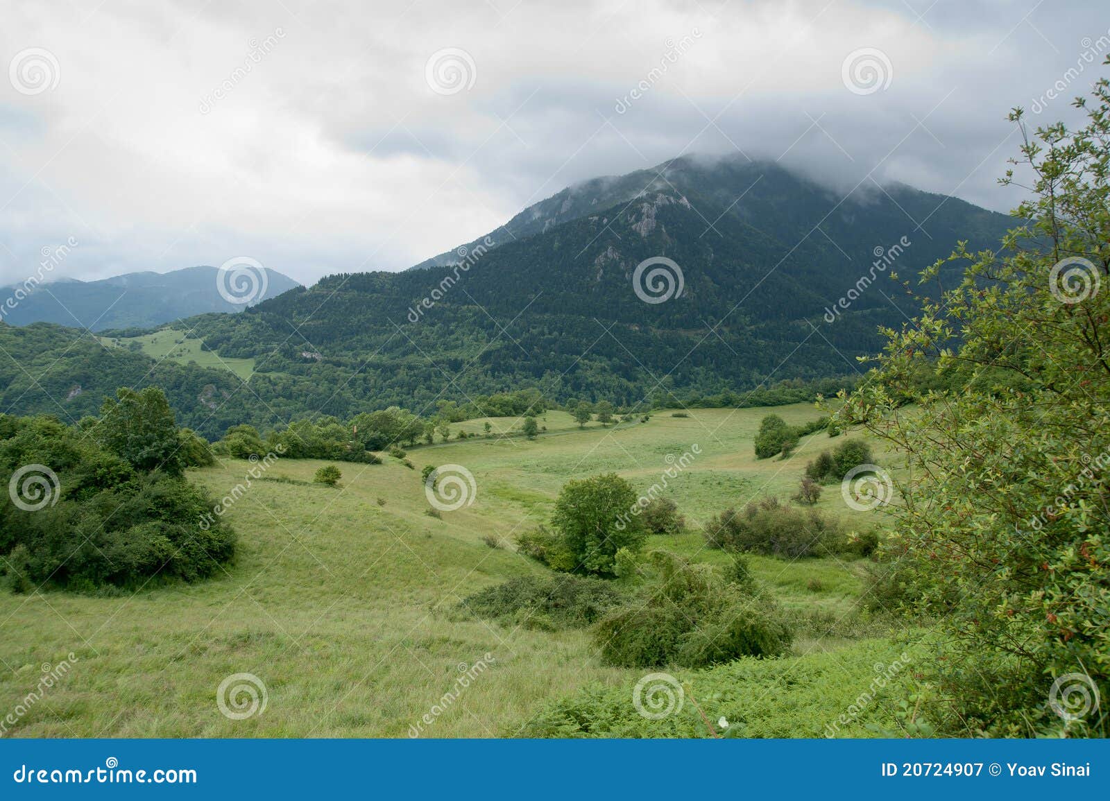 Spring Day in the French Pyrenees Stock Image - Image of france, green ...