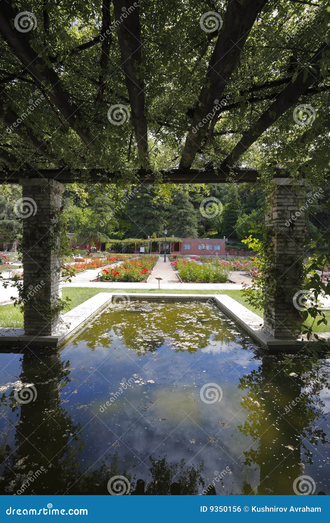 Spring Day in the Madrid Park Stock Photo - Image of plant, madrid: 9350156