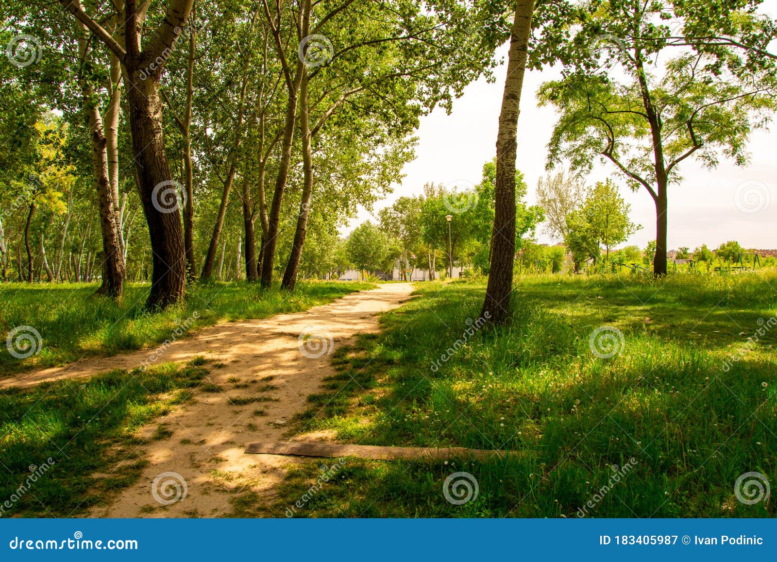 Spring Day in a Park. Path Trough Green Grass and Trees Stock Image ...