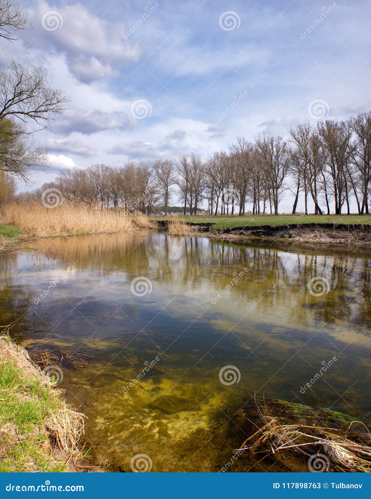 Spring day on the river stock image. Image of landscape - 117898763