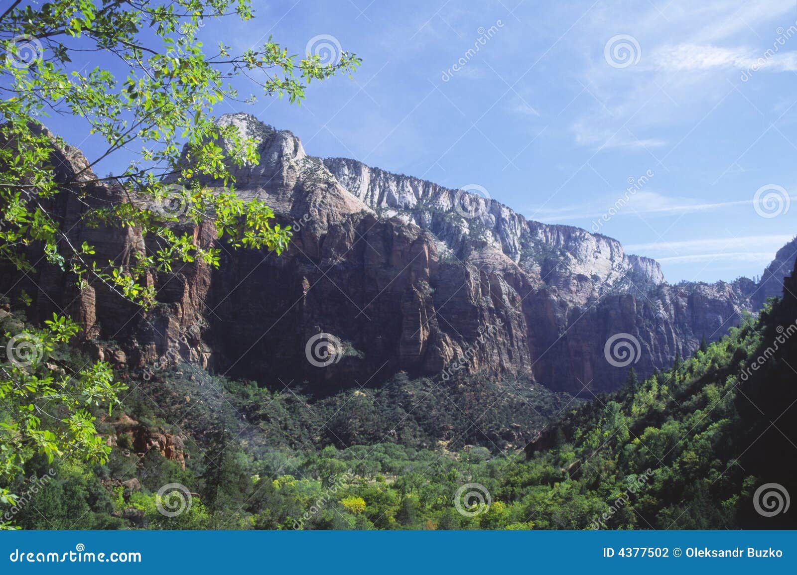 Spring Day in Zion National Park, Utah Stock Photo - Image of ...