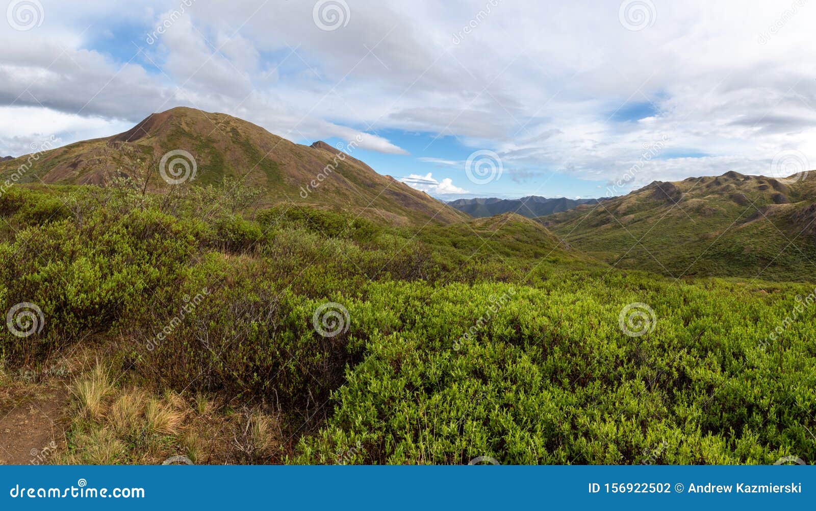 Spring Denali Landscape stock photo. Image of travel - 156922502