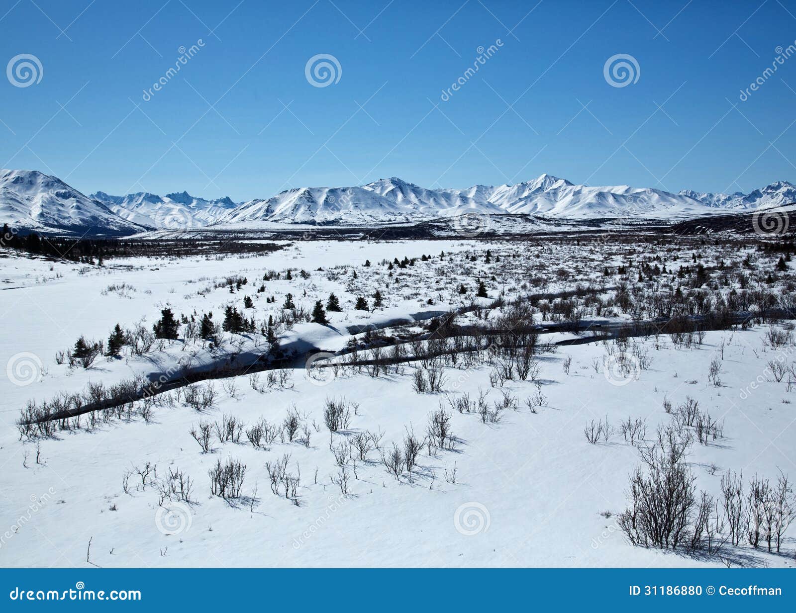 Spring in Denali National Park Stock Photo - Image of hills, national ...
