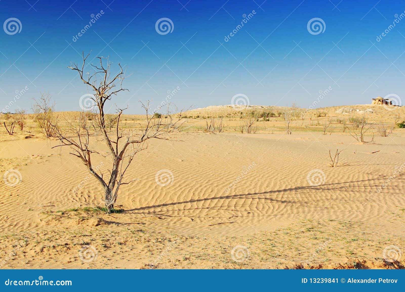 The spring in the desert stock image. Image of desert - 13239841