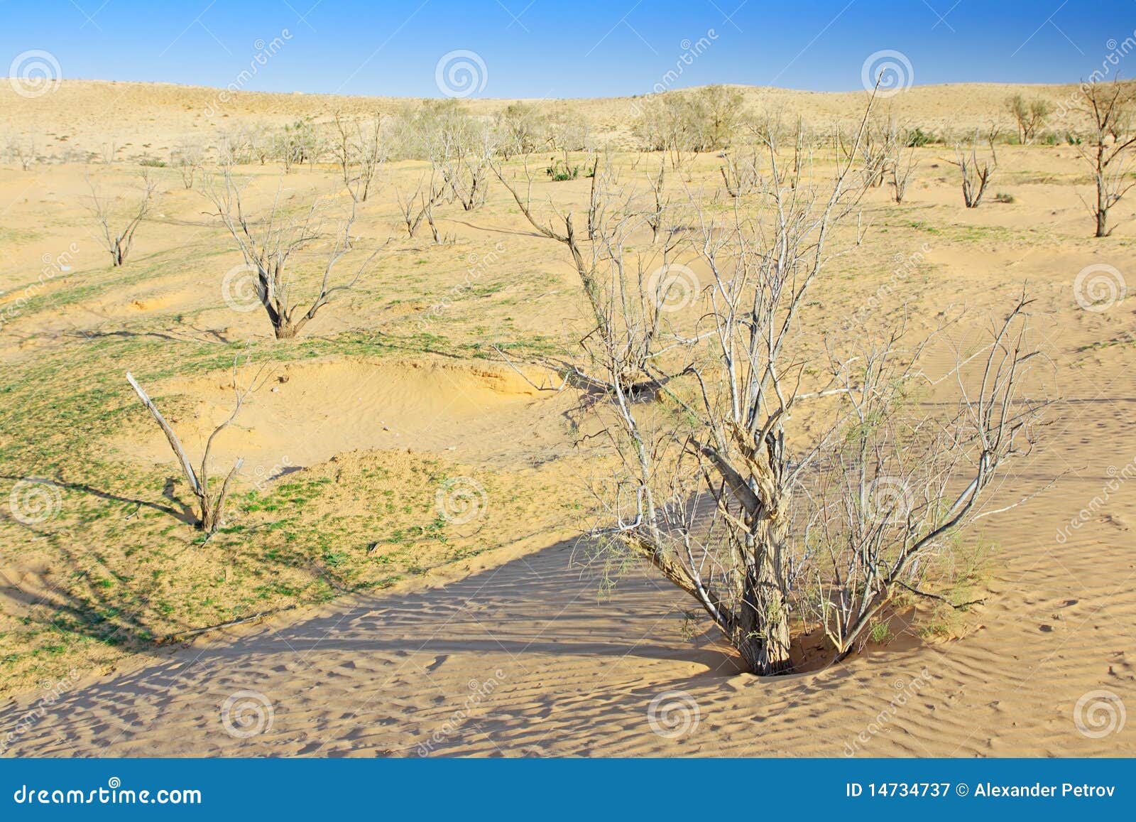 The spring in the desert stock image. Image of blue, metaphor - 14734737
