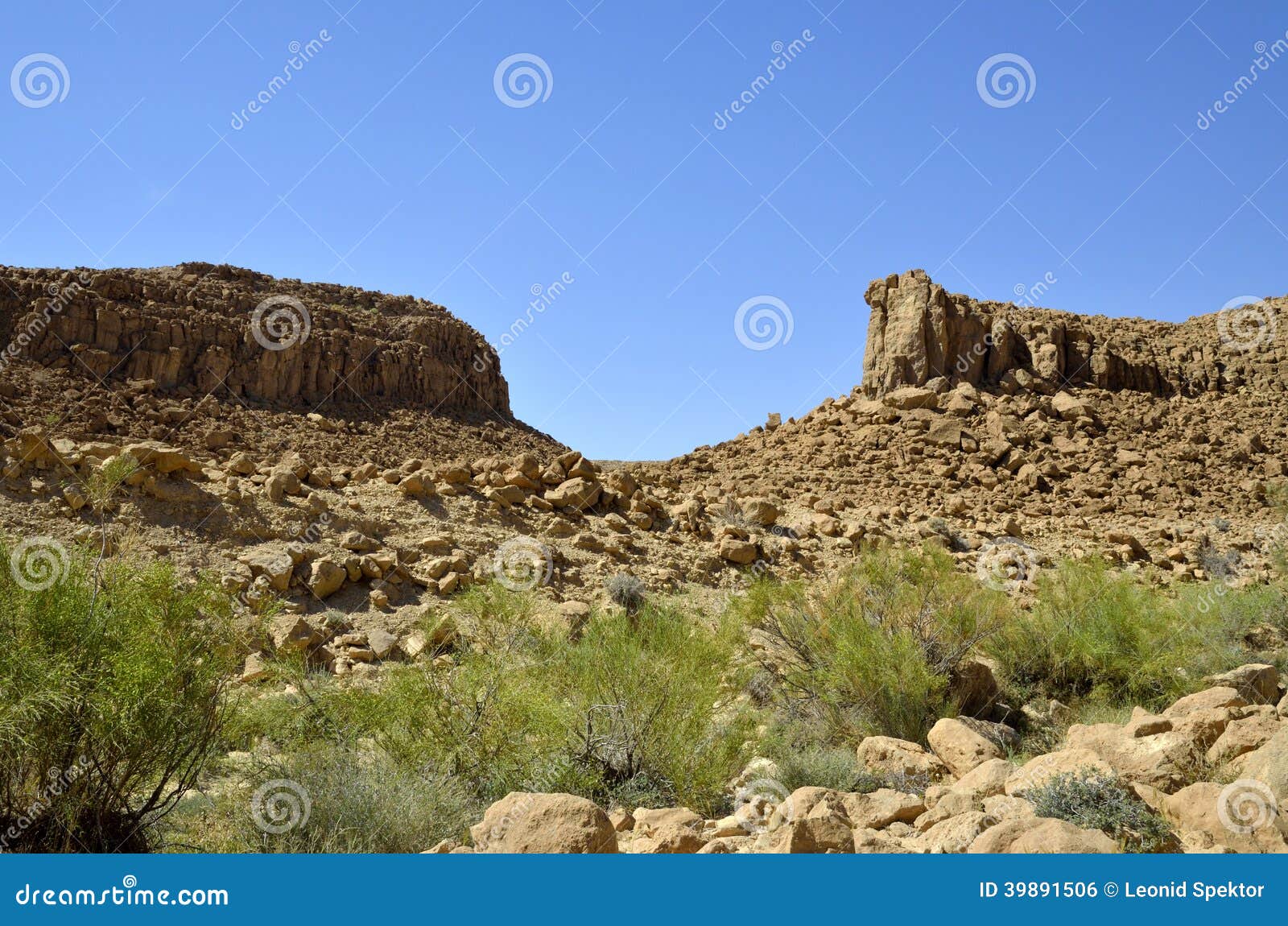 Spring Desert Landscape in Negev. Stock Photo - Image of wadi, plants ...