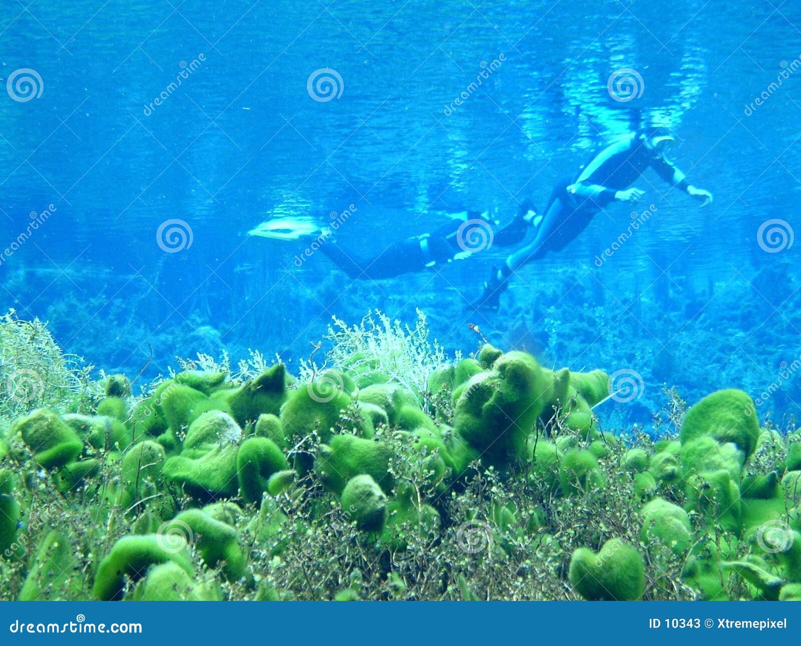 Spring Dive stock image. Image of crystal, diving, dive - 10343