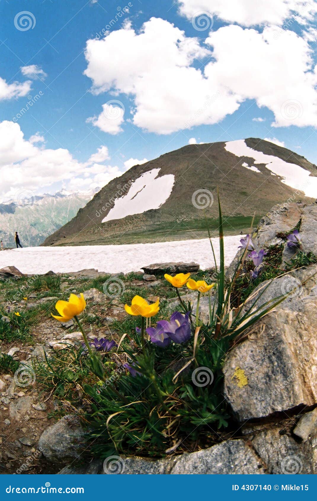 Spring in Dombai. stock photo. Image of skiing, holidays - 4307140