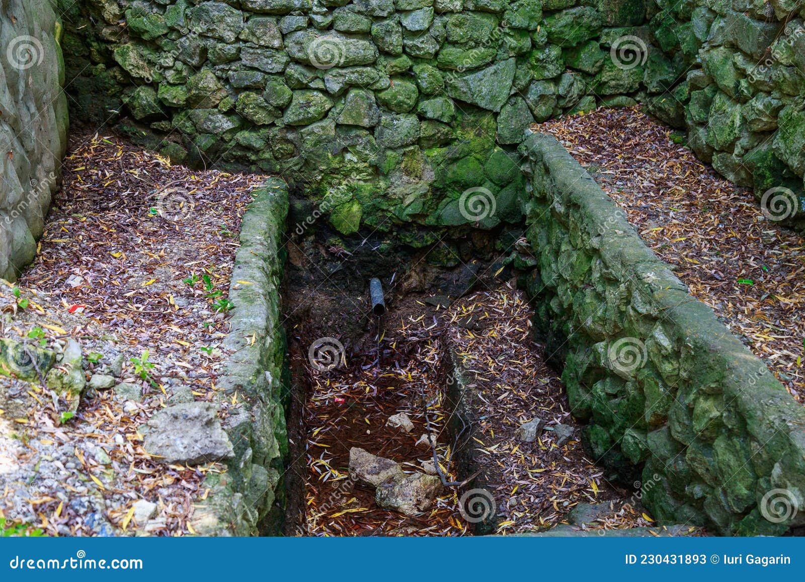 A Spring with Drinking Water, a Natural Source To Quench Your Thirst on ...