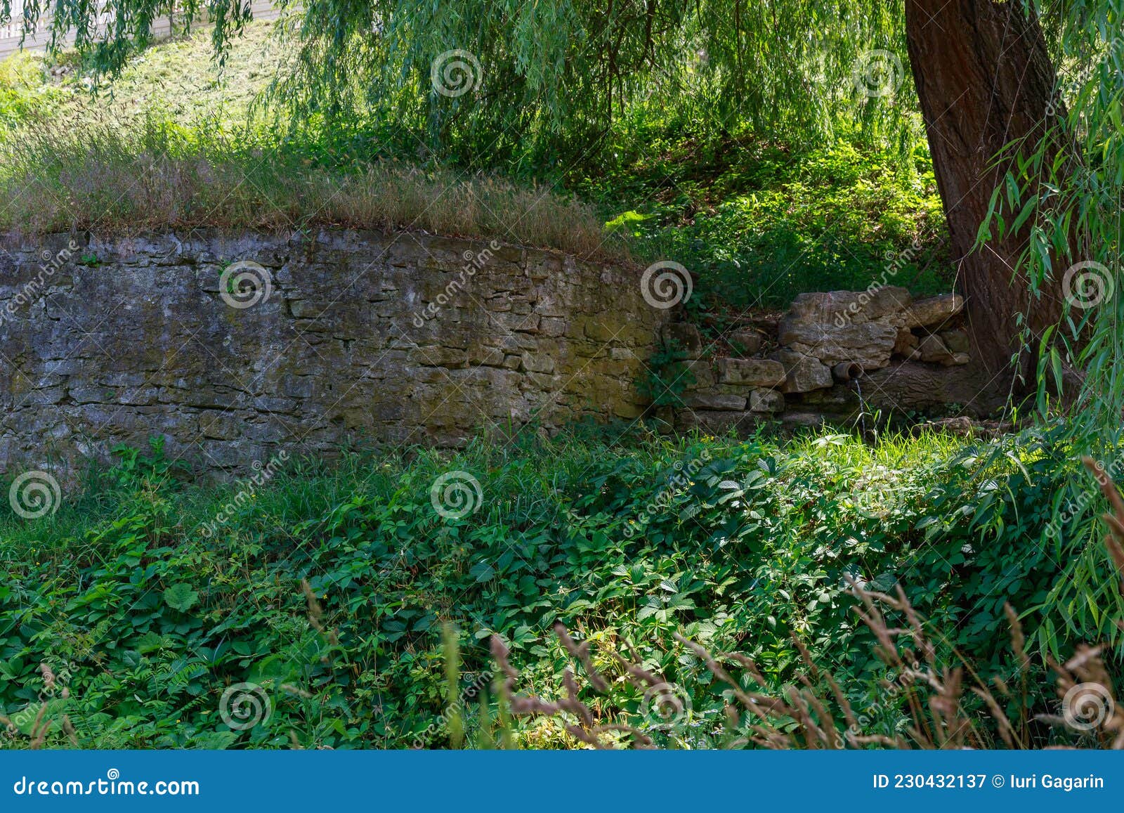 A Spring with Drinking Water, a Natural Source To Quench Your Thirst on ...