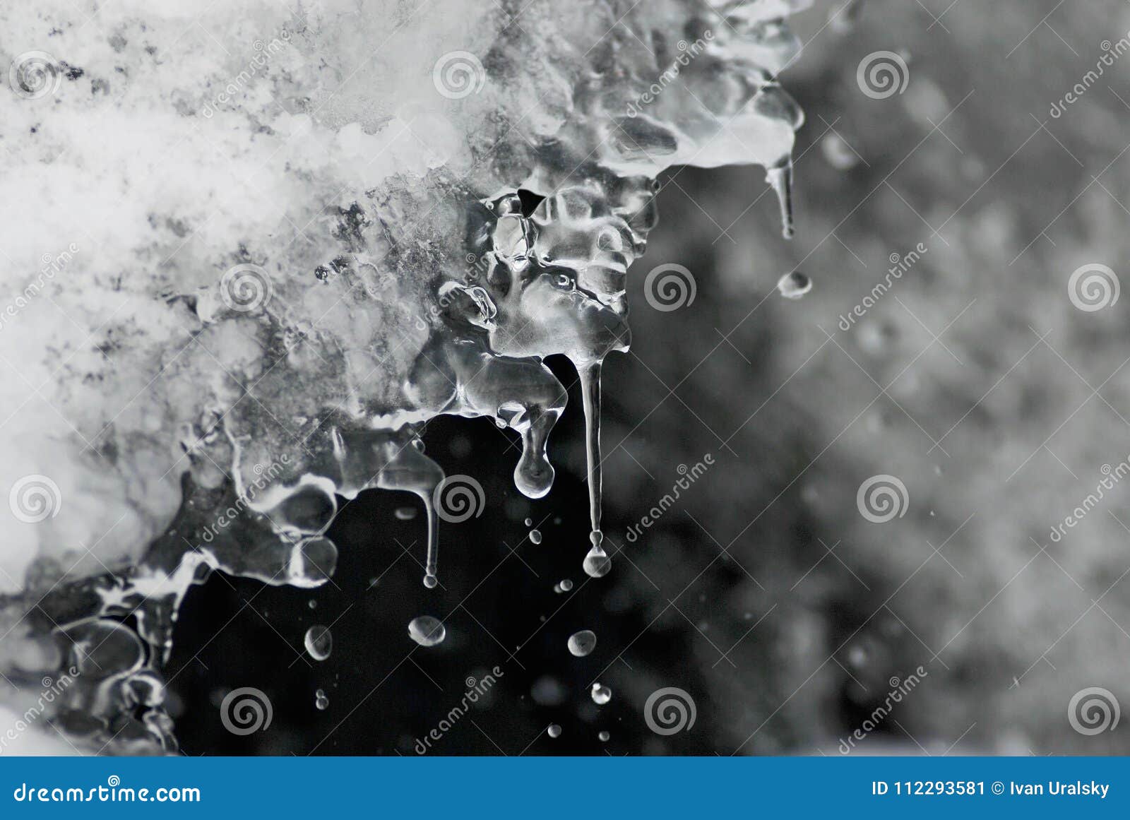 Spring Drops from the Melt Ice Stock Image - Image of environment ...