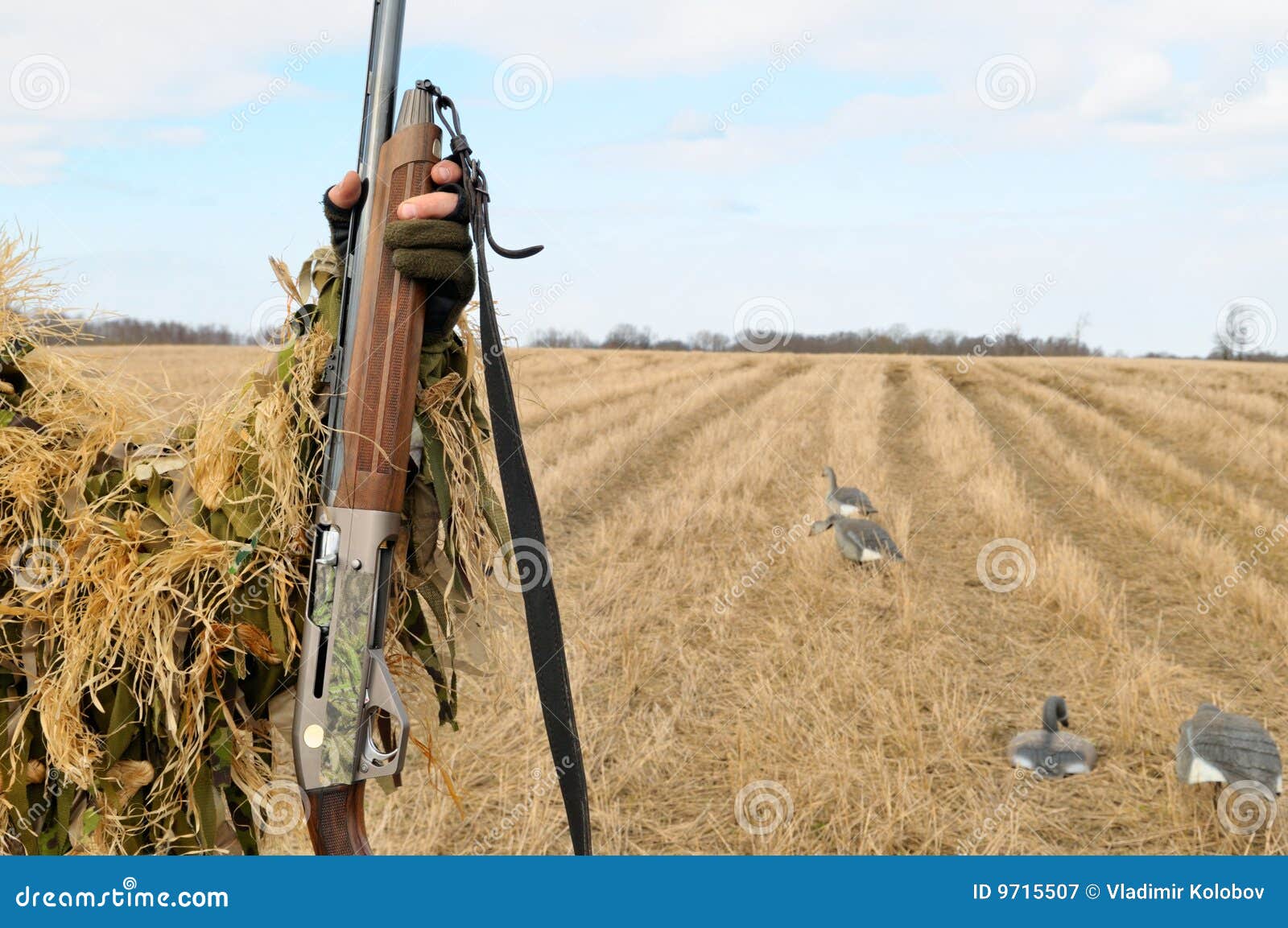 Spring ducks hunting. stock image. Image of hand, spring - 9715507