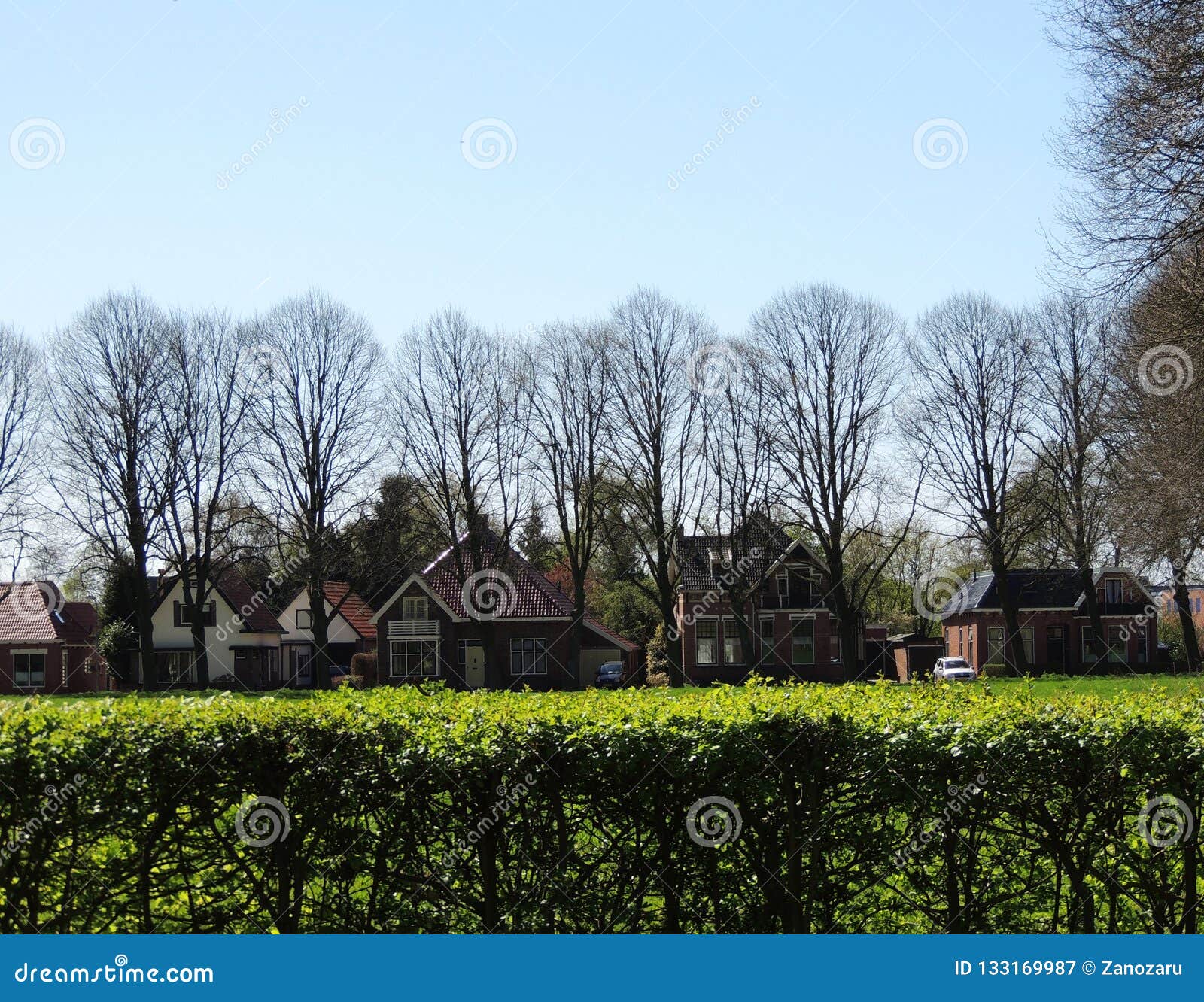 Spring in the Dutch Countryside. Netherlands Stock Image - Image of ...