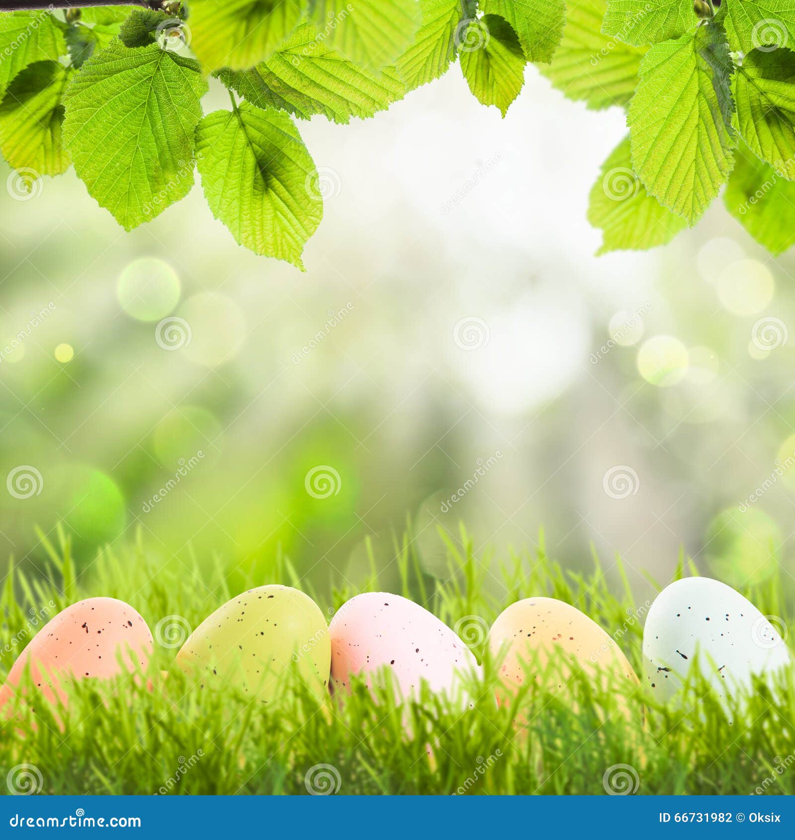 Spring Easter background stock photo. Image of festival - 66731982