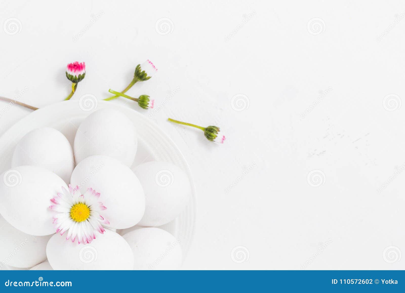 Spring Easter Background with White Eggs Daisy Flowers Stock Photo ...