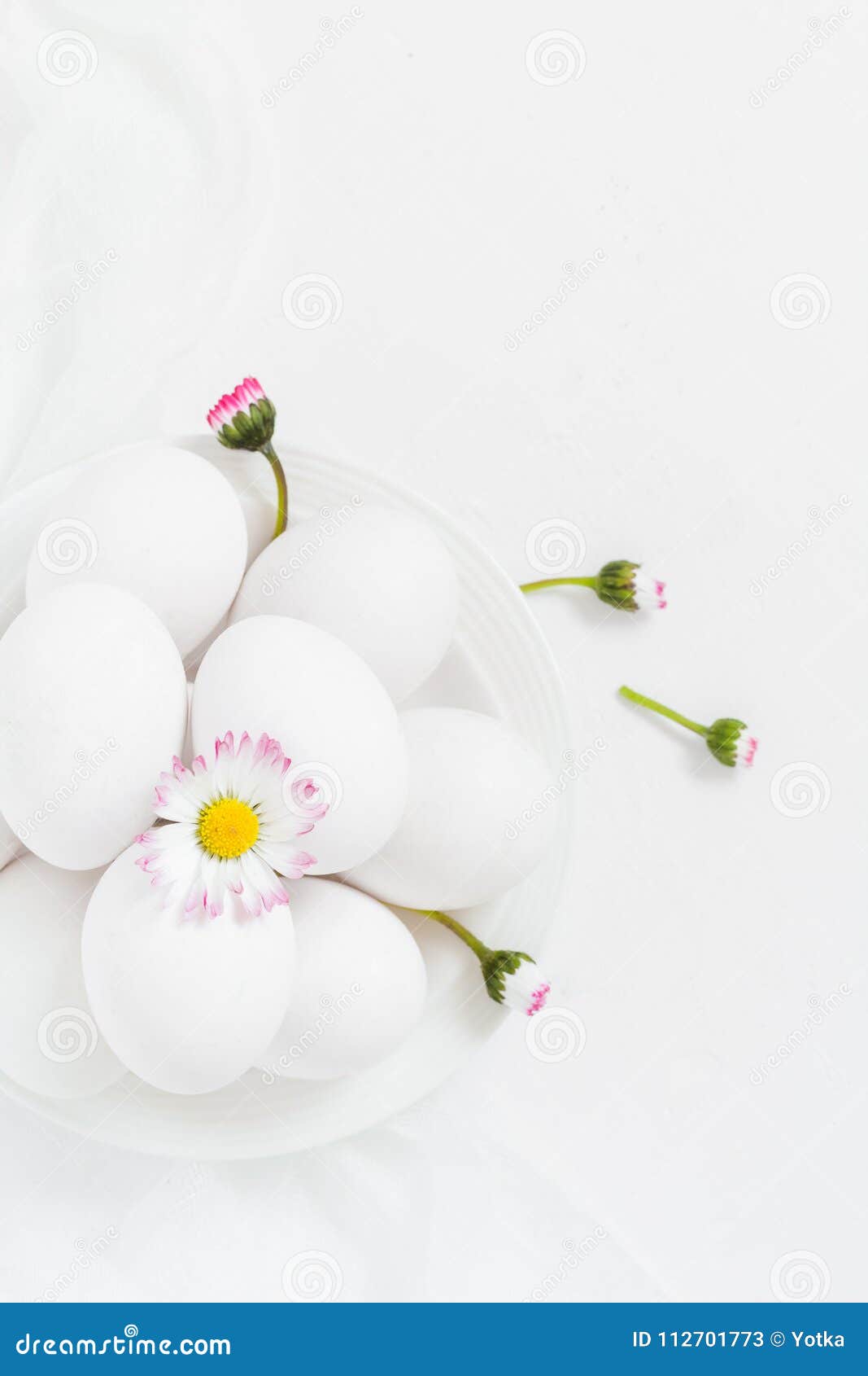 Spring Easter Background with White Eggs Daisy Flowers Stock Image ...
