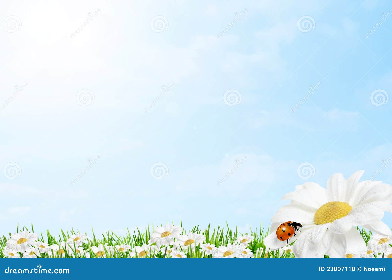 31,487 Spring Wallpaper Border Stock Photos - Free & Royalty-Free Stock ...