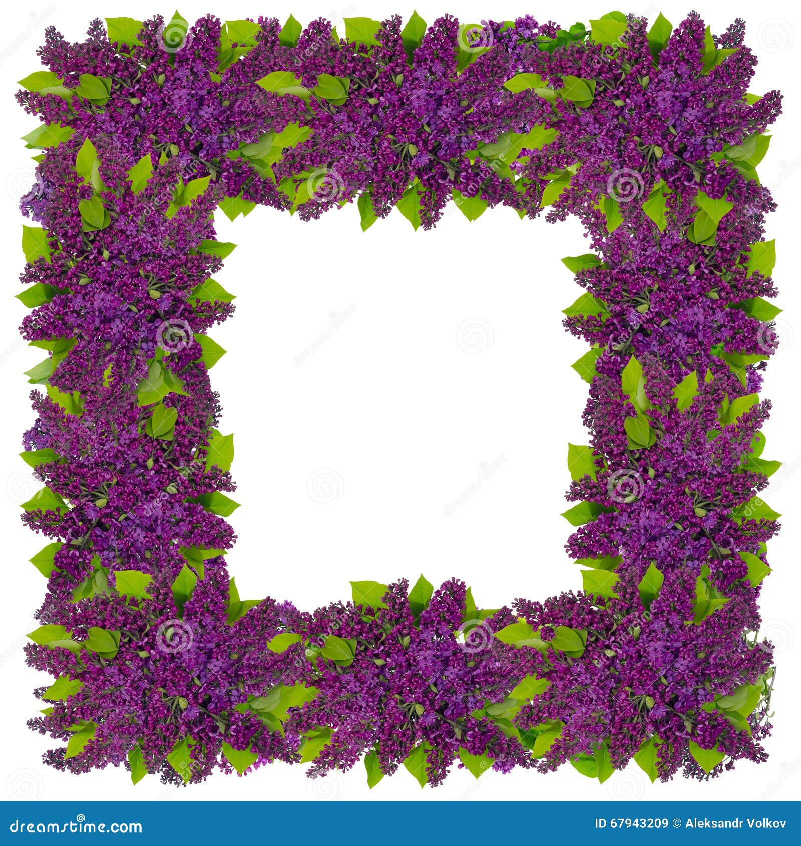 Spring Easter lilac frame stock image. Image of blooming - 67943209