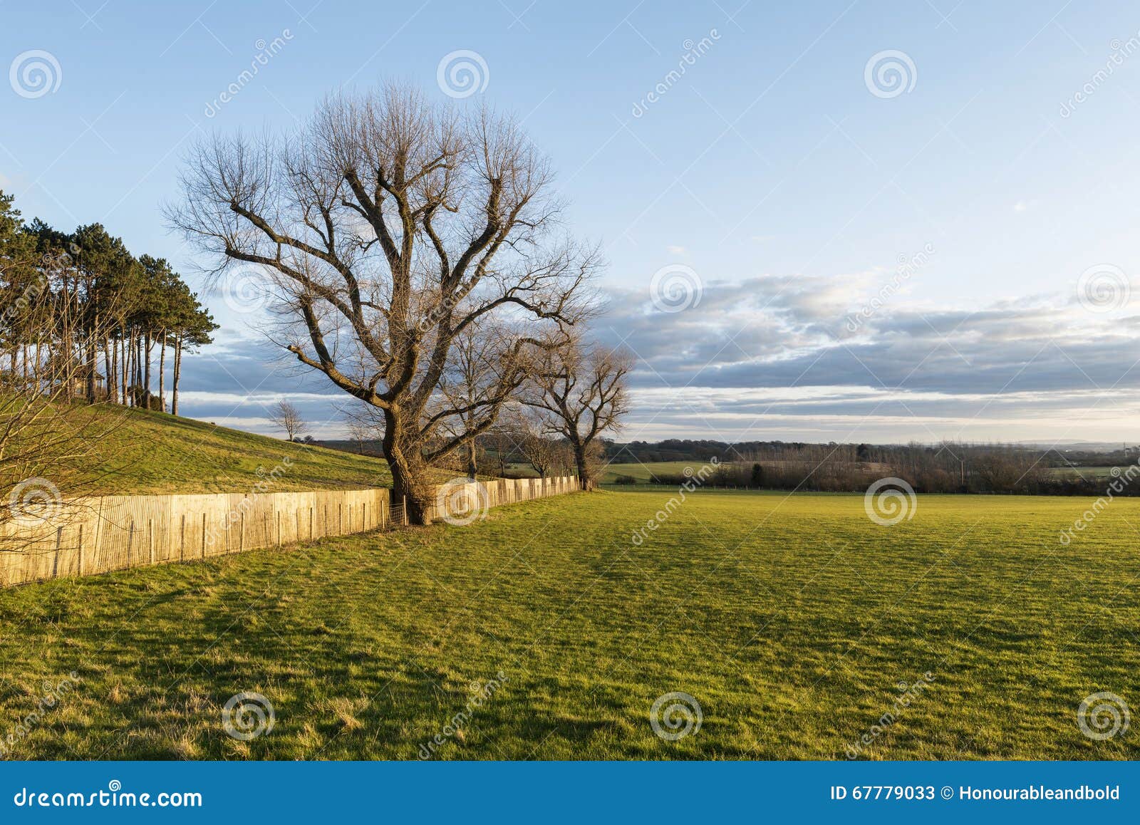 Spring English Countryside Landscape during Beautiful Sunset Stock ...