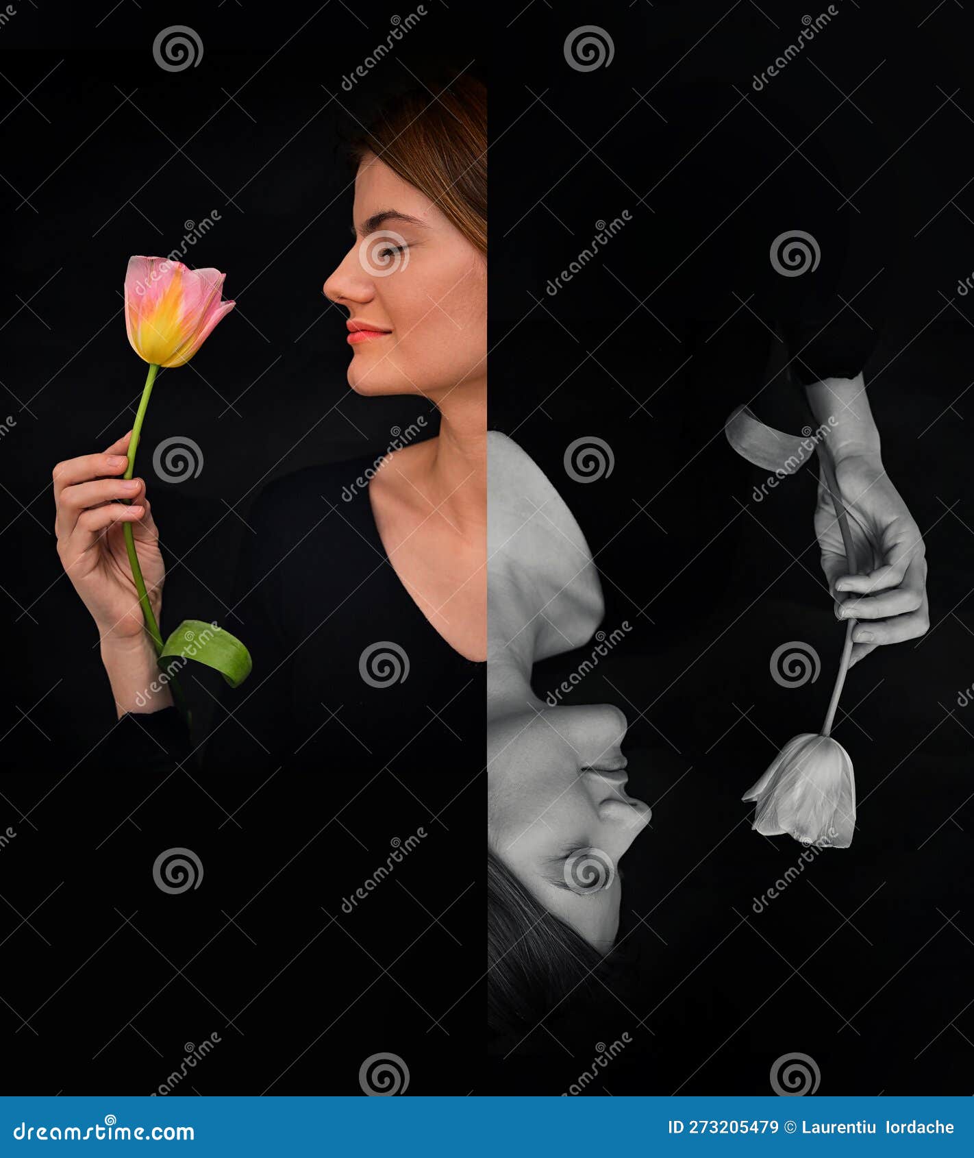 The Spring Equinox. Woman Portrait Upside Down Stock Image - Image of ...