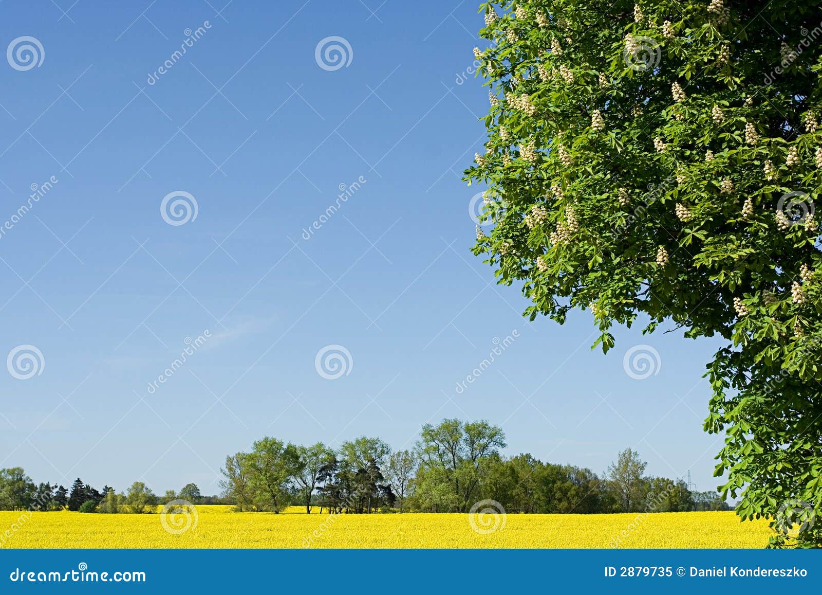 Spring In Europe Picture. Image: 2879735