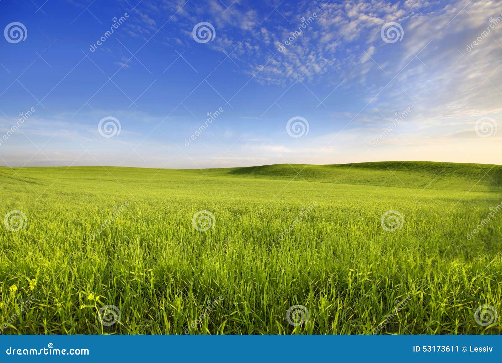 Spring evening stock image. Image of field, environment - 53173611