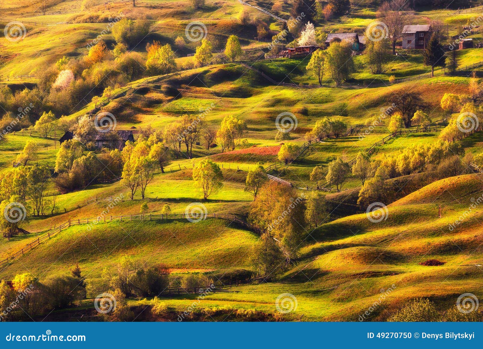 Spring stock photo. Image of beauty, green, overcast - 49270750