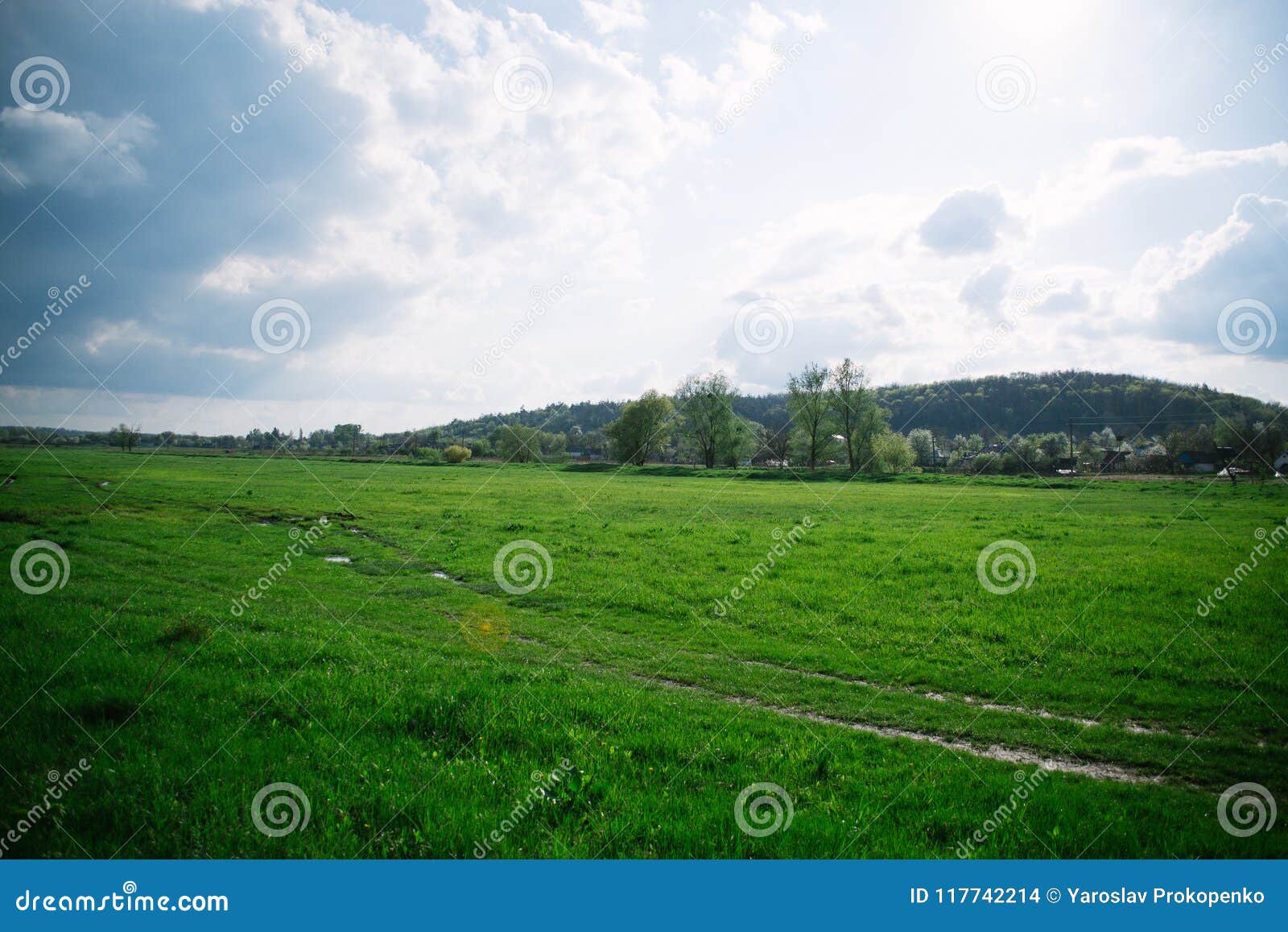Spring Evening Landscape on the Field in the Rays of the Evening Sun ...