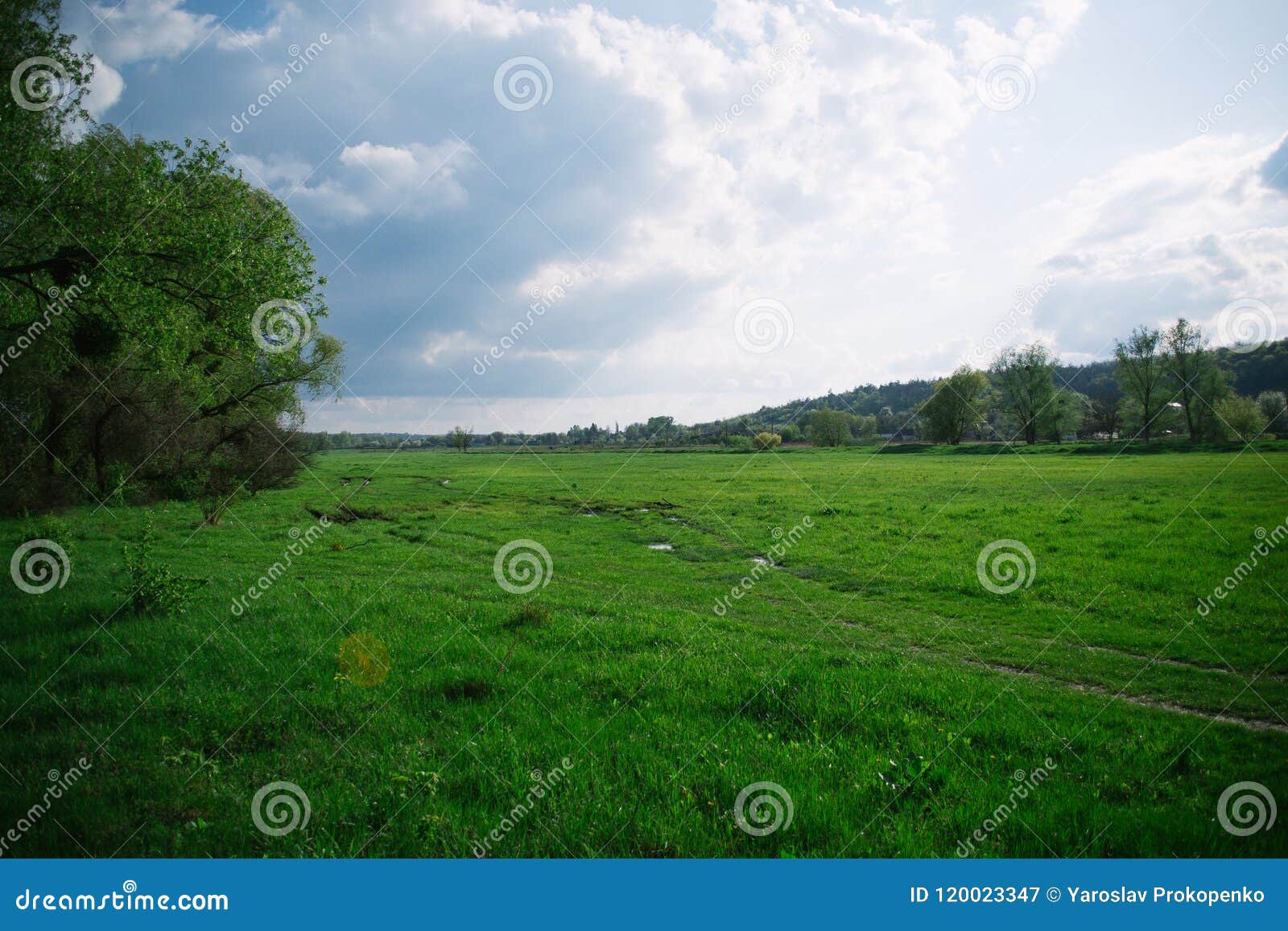 Spring Evening Landscape on the Field in the Rays of the Evening Sun ...