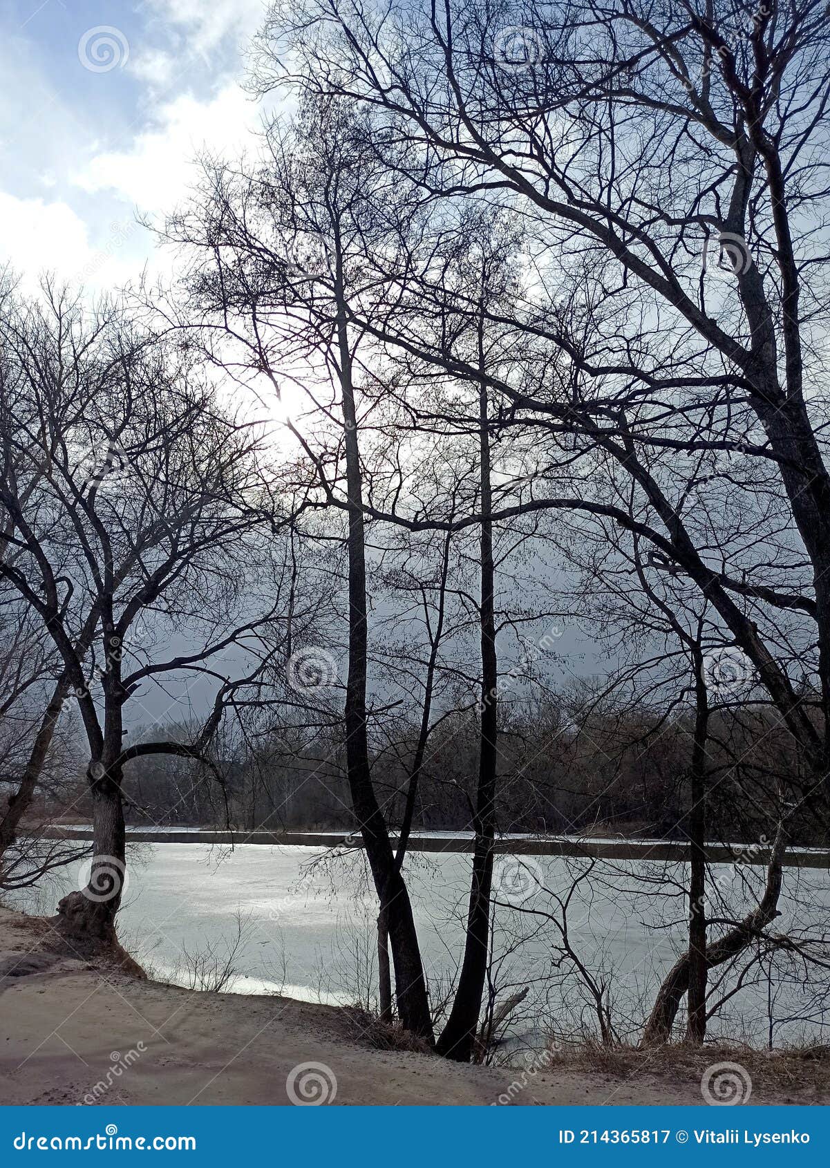 Spring Landscape Trees by the River with Melting Ice Stock Image ...
