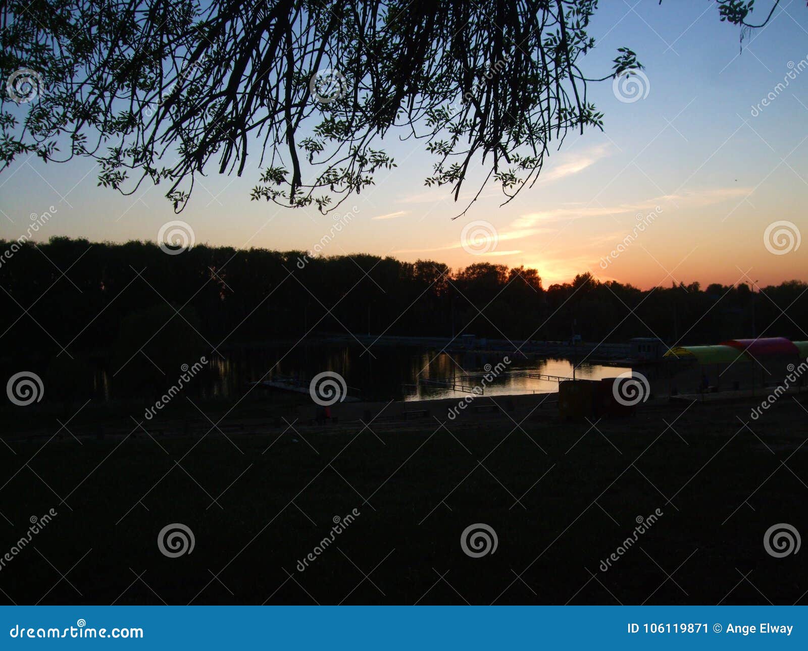 Spring Evening in the Park. Stock Image - Image of lake, landscape ...