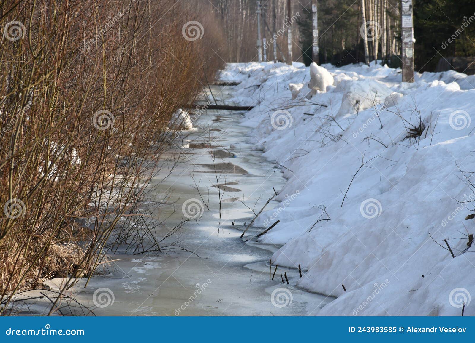 Spring stock image. Image of spring, stream, frost, starts - 243983585
