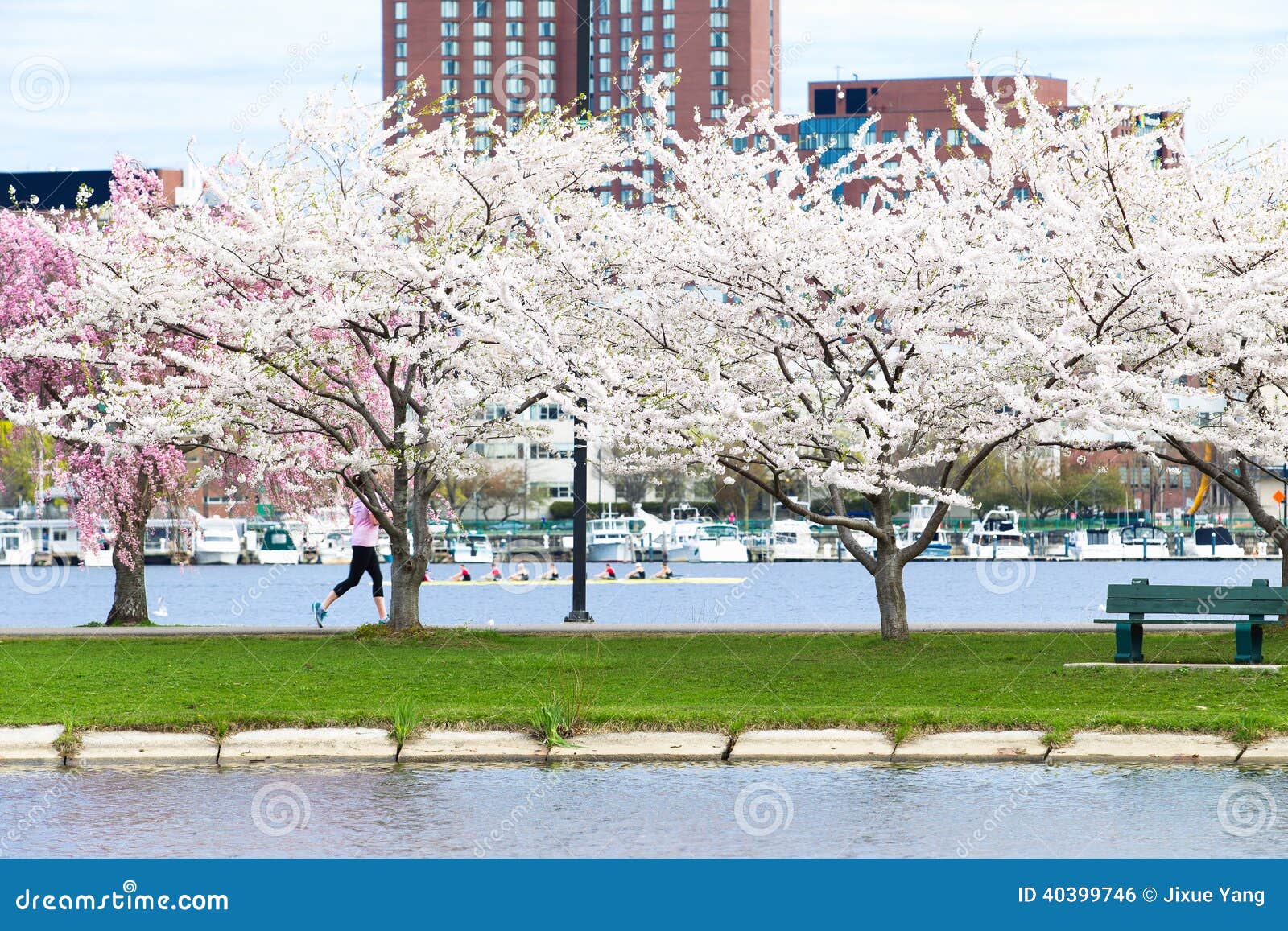 Spring Exercising stock photo. Image of jogging, scene - 40399746