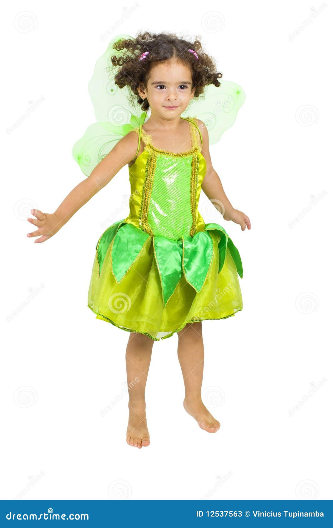 Spring Fairy stock image. Image of clothing, carnival - 12537563