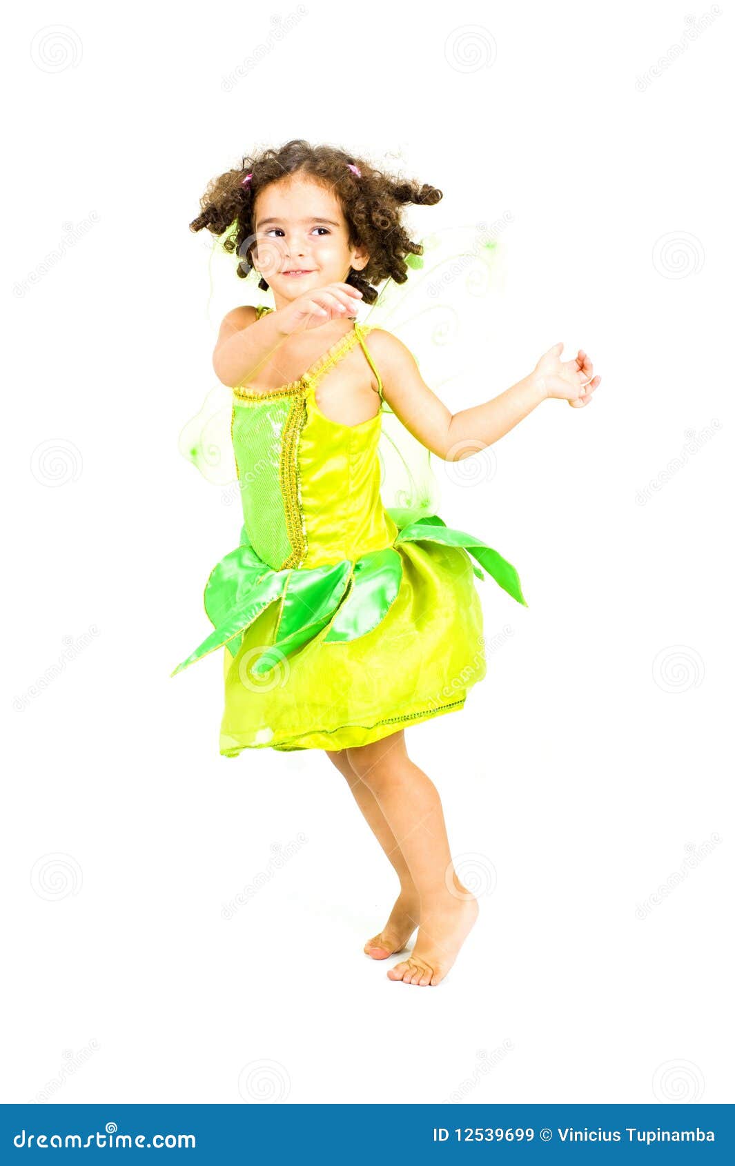 Spring Fairy stock image. Image of ballet, elegant, dance - 12539699