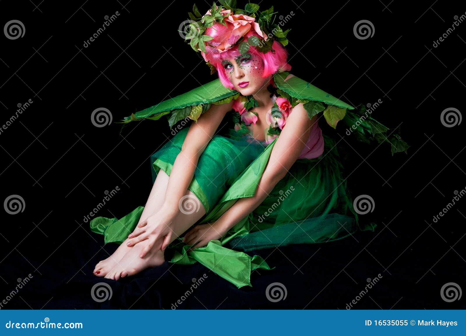 Spring Fairy stock image. Image of floral, growth, bloom - 16535055
