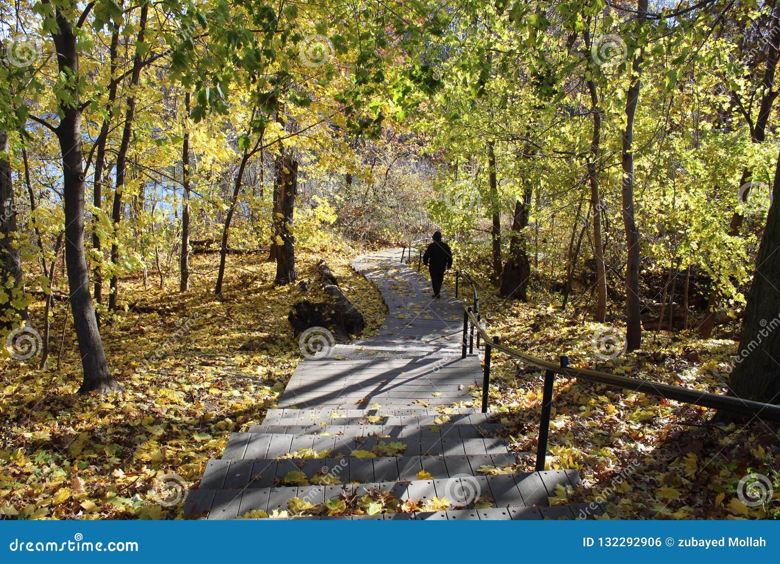 Spring Fall stock photo. Image of spring, yellow, year - 132292906