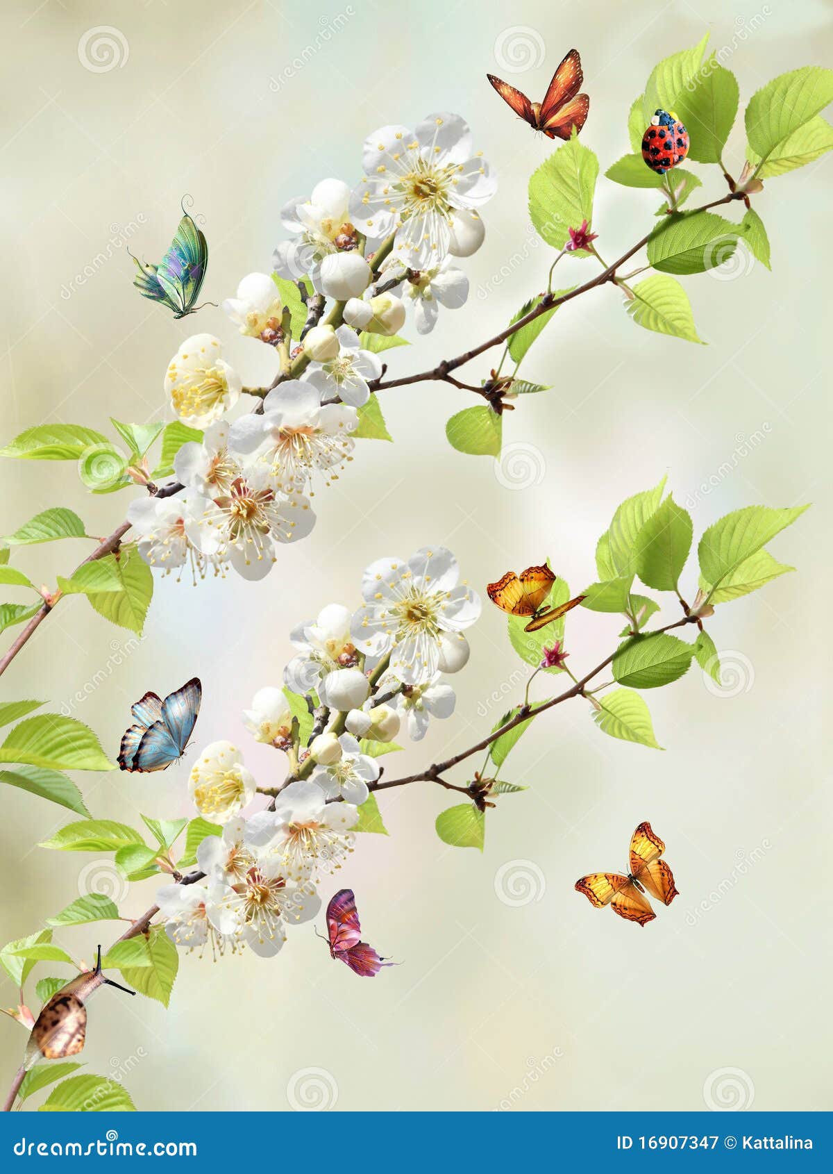Spring of fantasy stock image. Image of spring, butterflies - 16907347