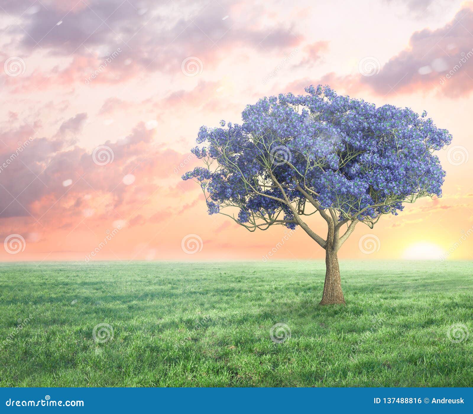 Spring Fantasy Landscape with Violet Tree Stock Photo - Image of grass ...