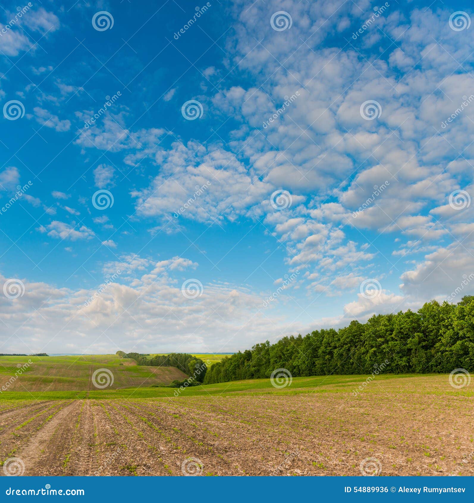 Spring farm field hills stock photo. Image of plants - 54889936