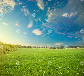 Spring farm field view stock image. Image of field, plant - 24774943