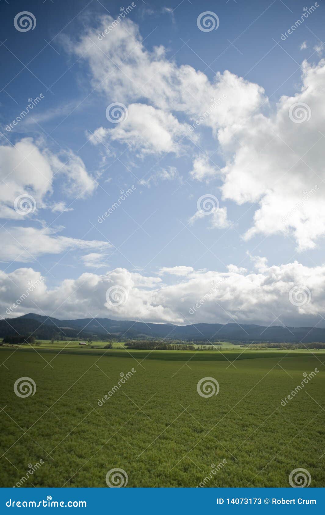 Spring farm fields stock image. Image of northwest, crops - 14073173