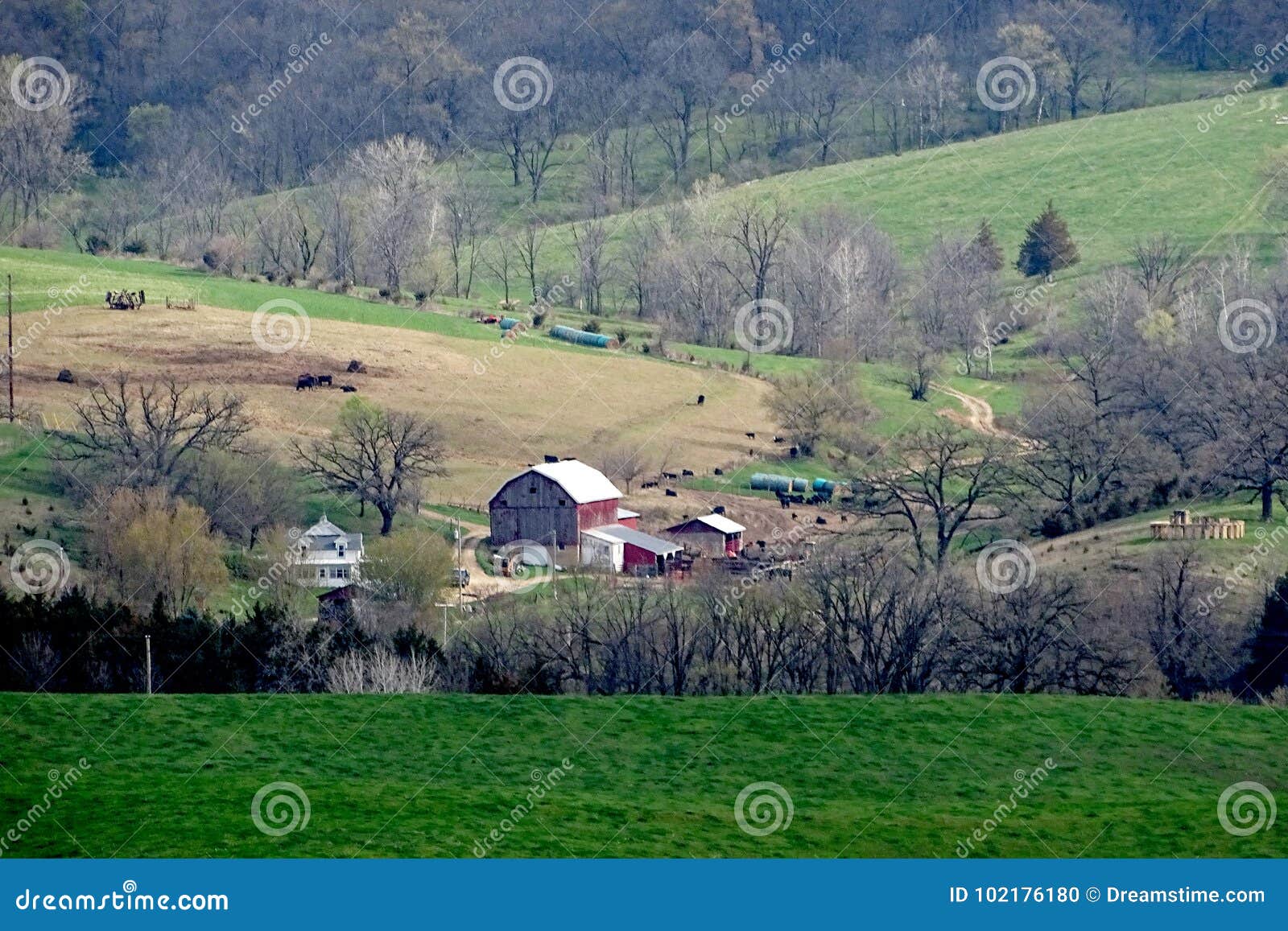 Spring Farm stock photo. Image of spring, early, agriculture - 102176180