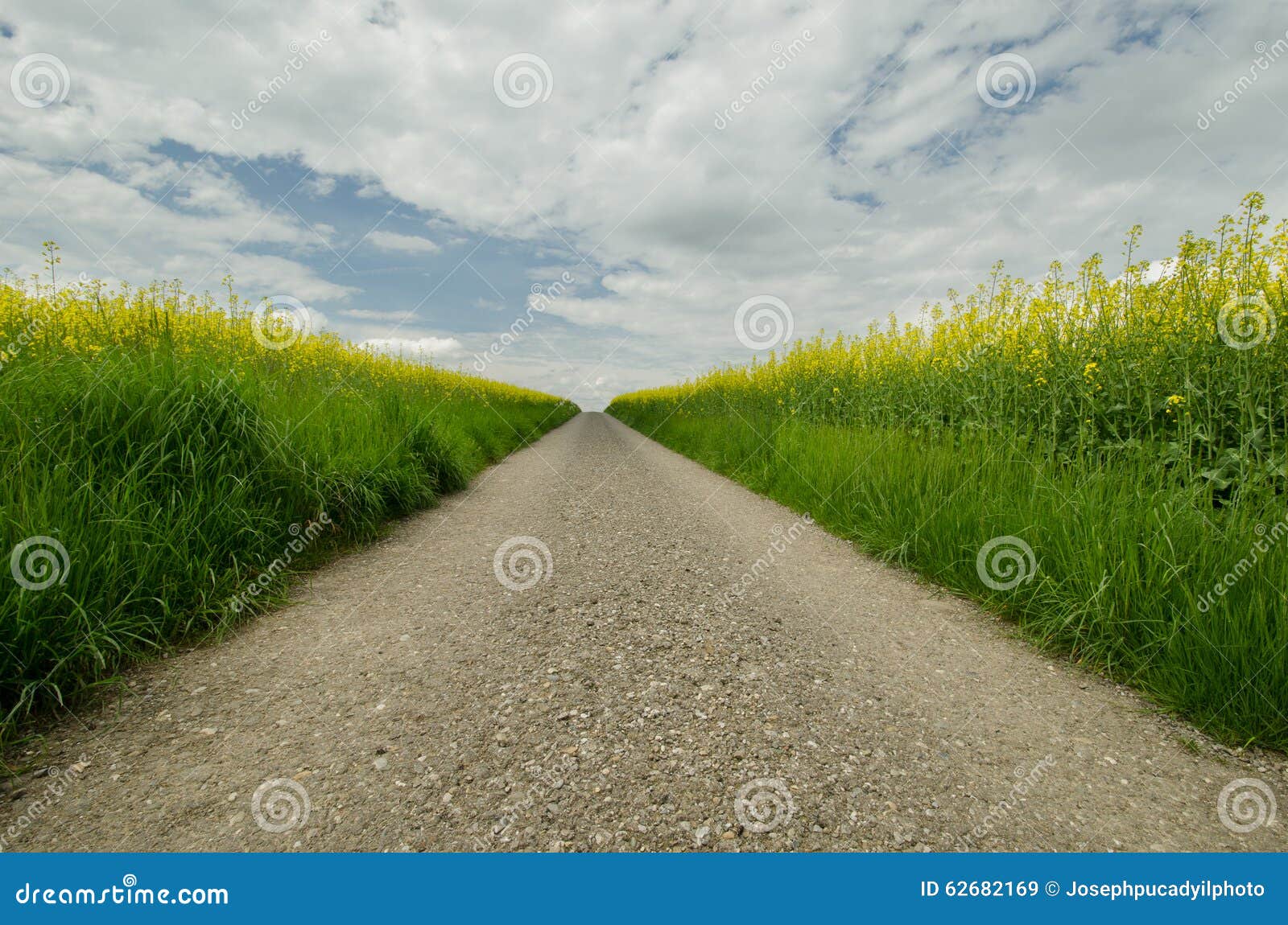 Spring on a farm stock image. Image of flower, landscape - 62682169